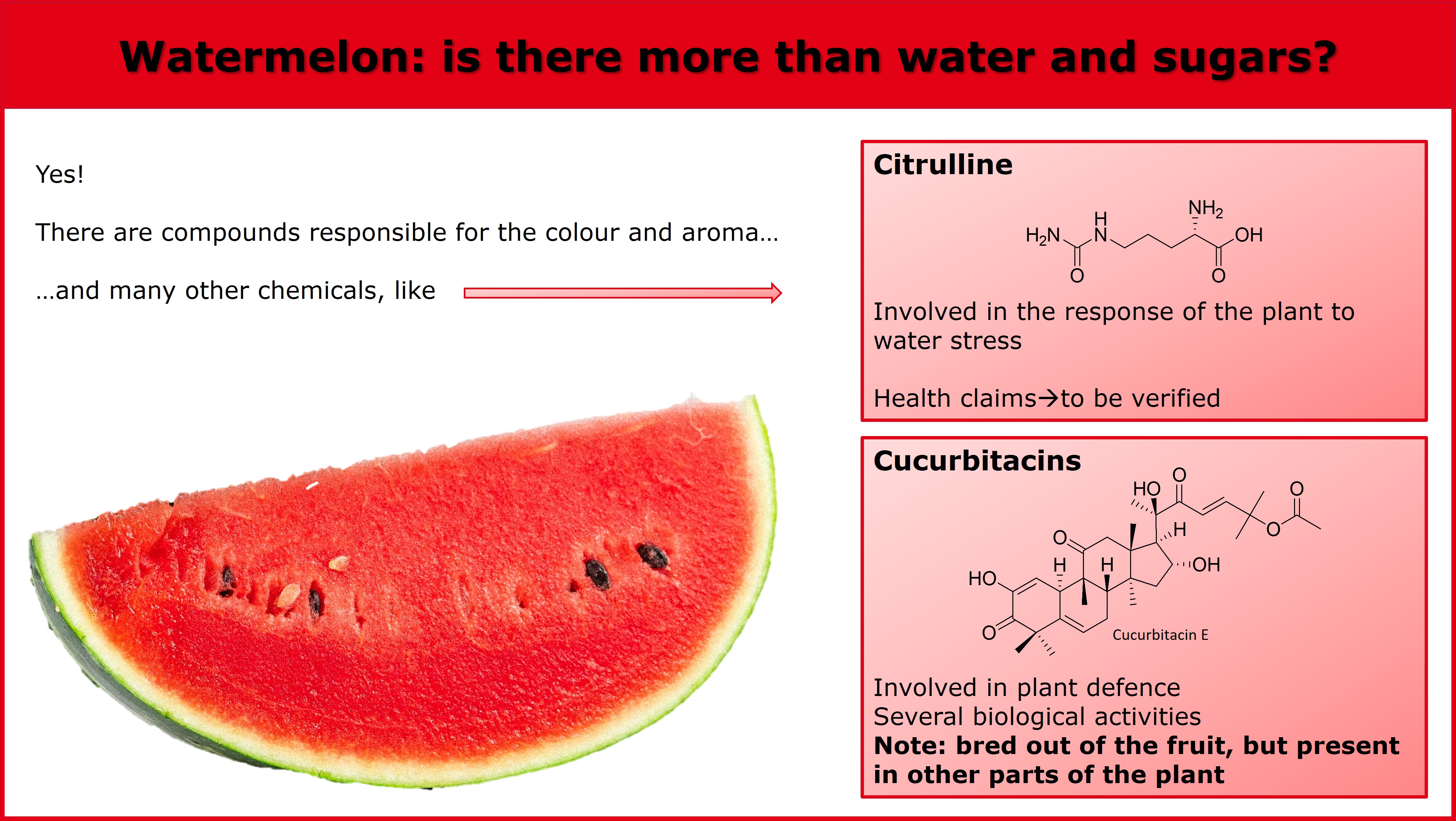 Watermelon: is there more than water and sugars? – PhytoChem